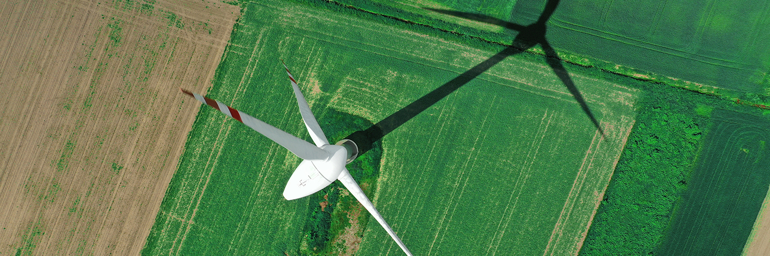 Endowment Management - Graystone Consulting - Columbus, Grand Rapids ...